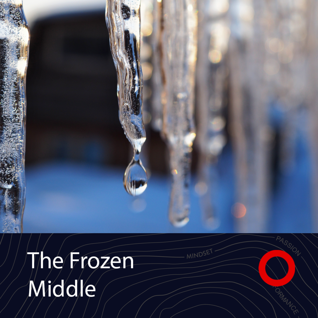 The Frozen Middle, Continued... - In Cool Company